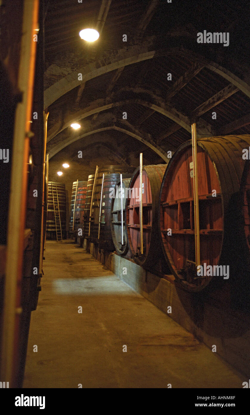 The cellar with big oak barrels (foudres, demi-muids) in a disaffected ...
