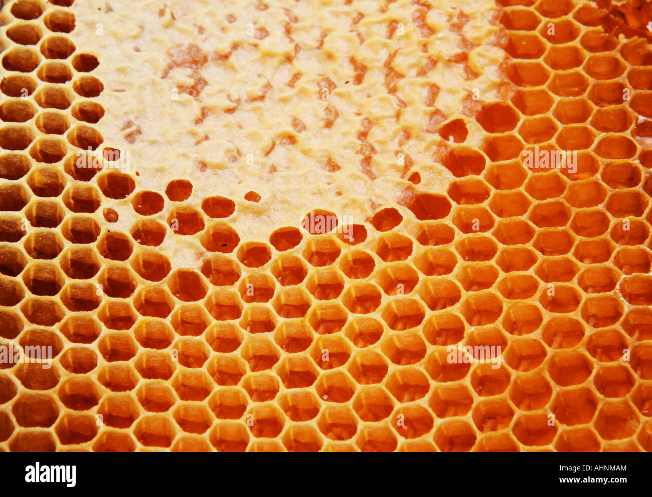 Yellow honeycomb wax cell detail texture background Stock Photo - Alamy