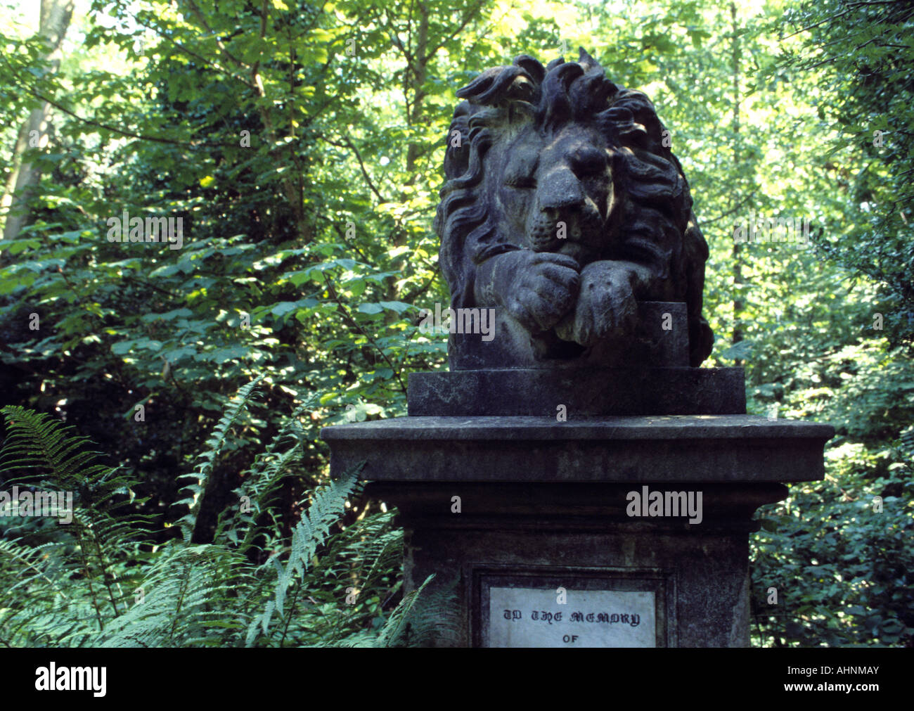 Lion grave hi-res stock photography and images - Alamy