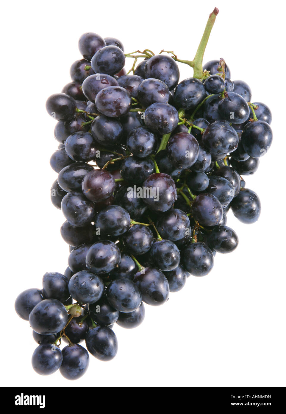 Blue grape bunch isolated on white background Stock Photo - Alamy