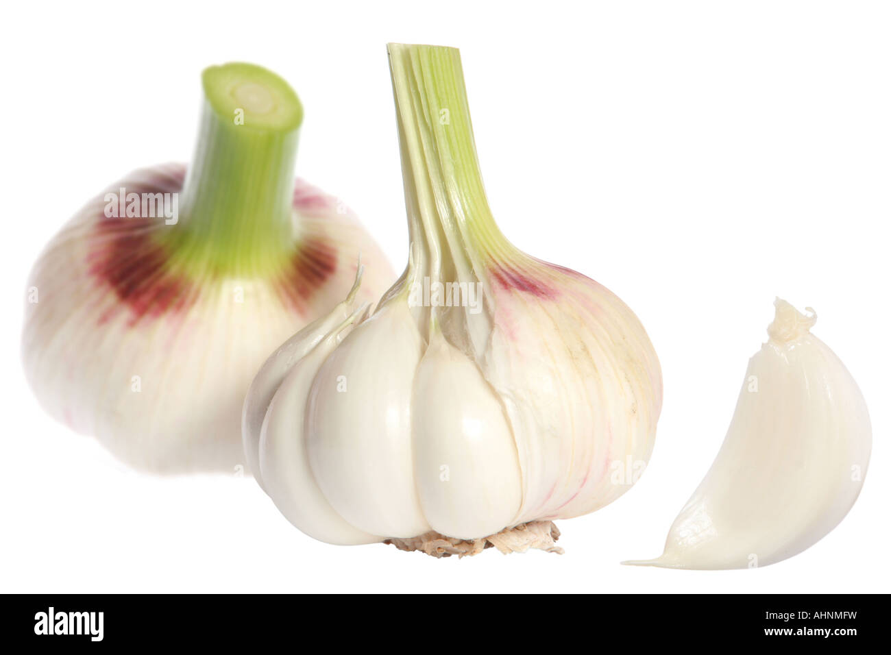 Garlic head detail isolated on white background Stock Photo - Alamy