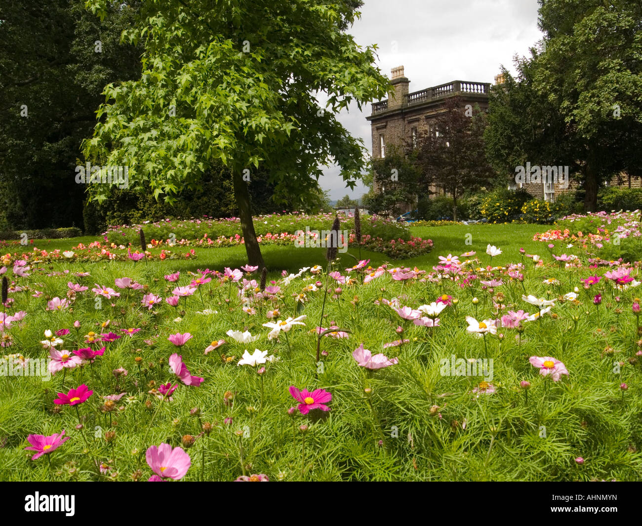 View through a bed of pretty pink flowers to Woodthorpe Grange ...
