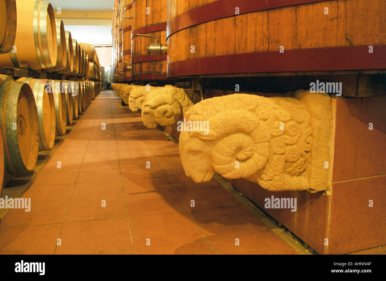 Oak barrels and big foudre fermentation vats in the winery, the plinth ...