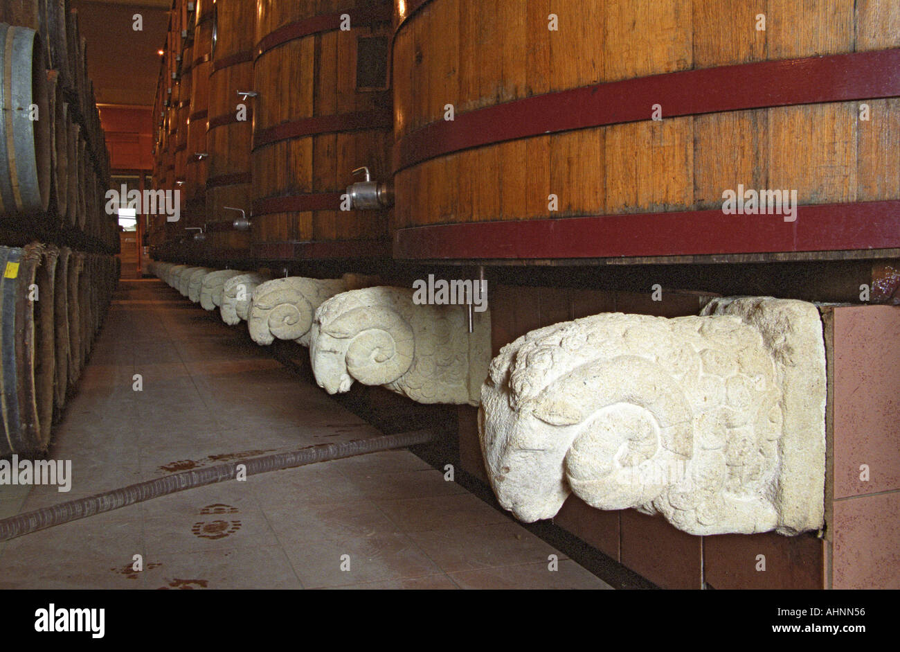 Oak barrels and big foudre fermentation vats in the winery, the plinth ...