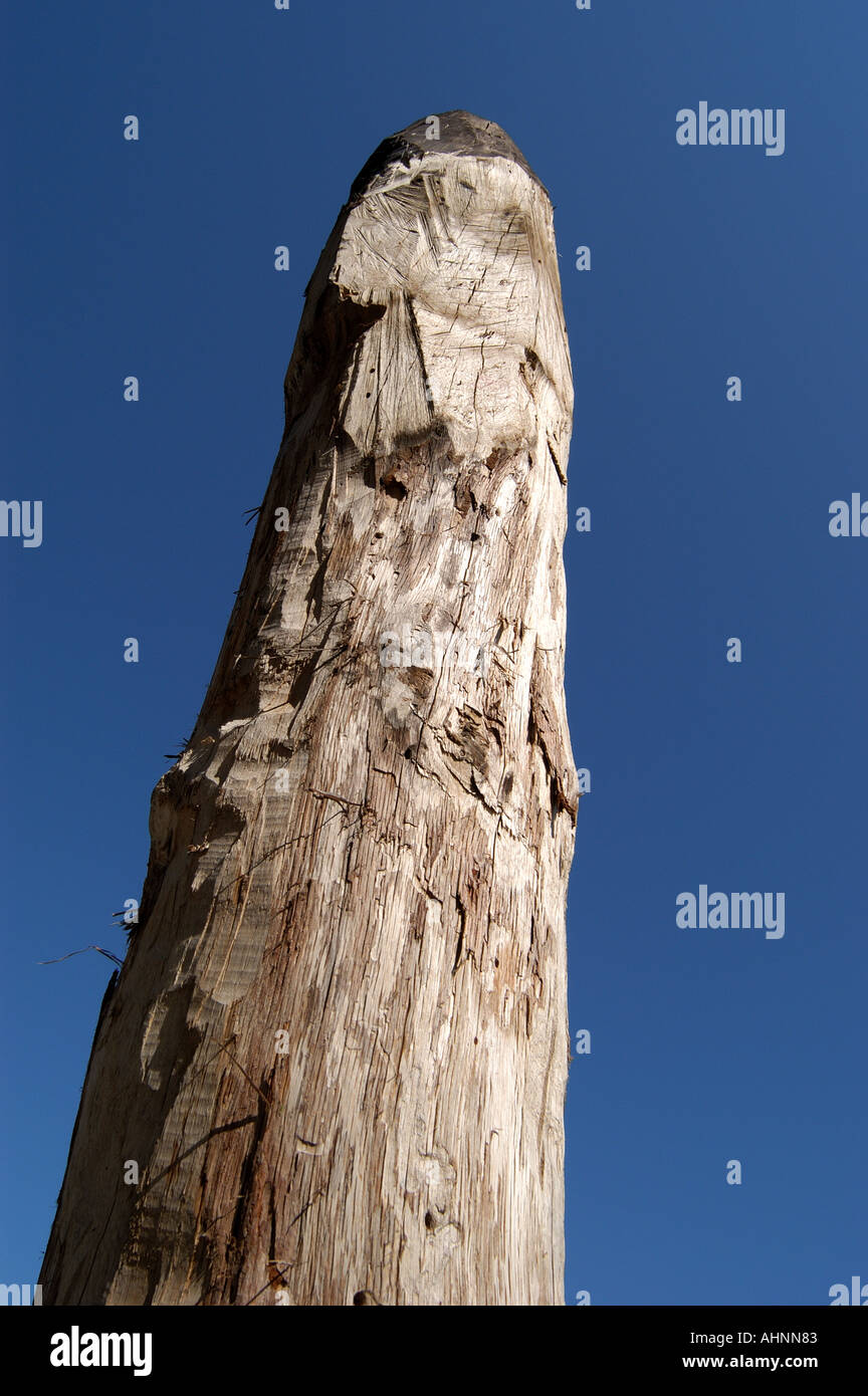 Wooden mooring post Venice Italy Stock Photo - Alamy