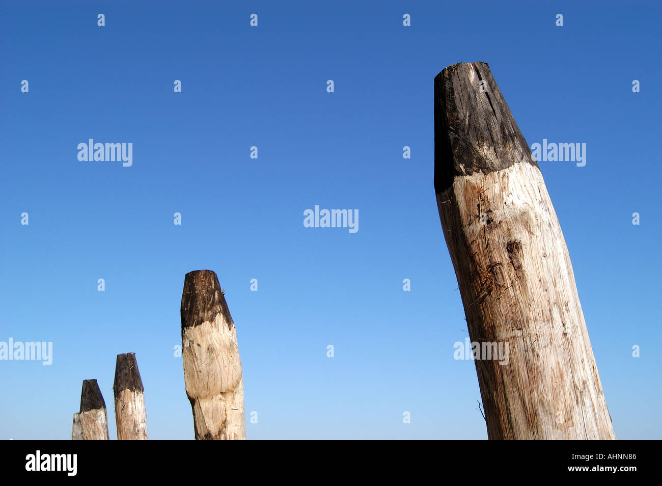 Wooden mooring posts Venice Italy Stock Photo - Alamy