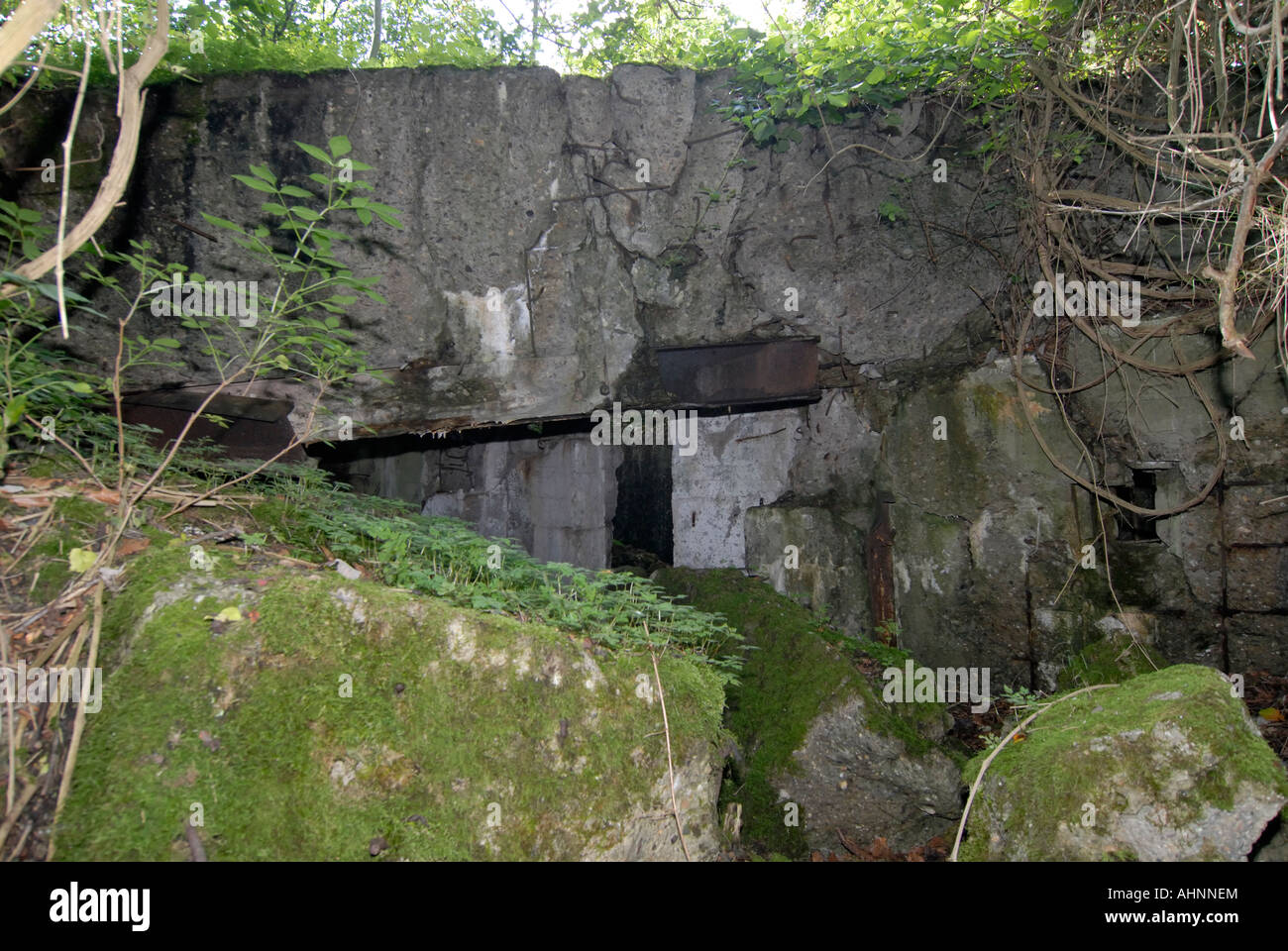 Siegfried Line World War Two era destroyed bunker, Germany Stock Photo ...