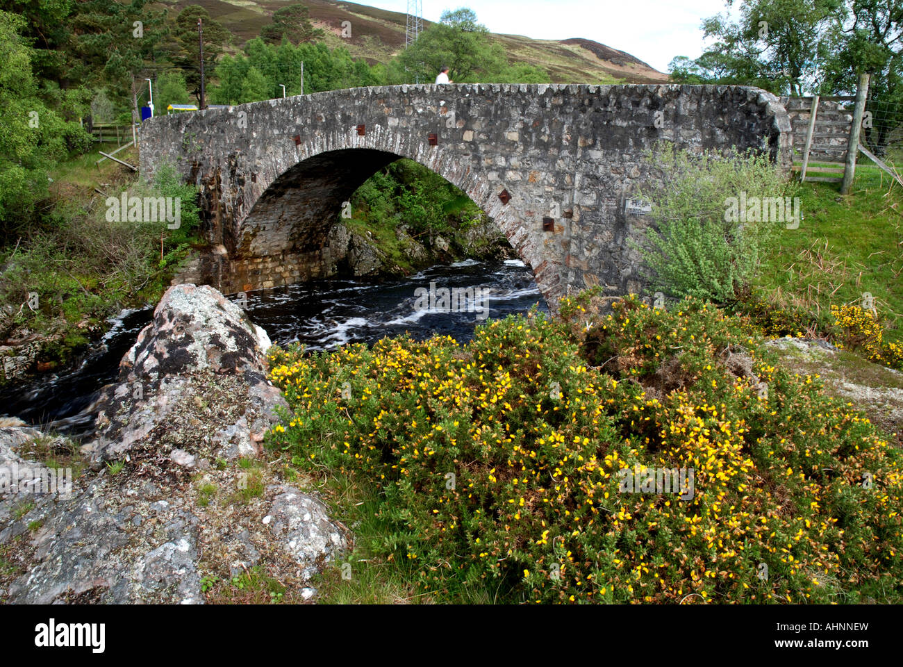 Stonebridge over creek in highland of northern Scotland Great britan ...