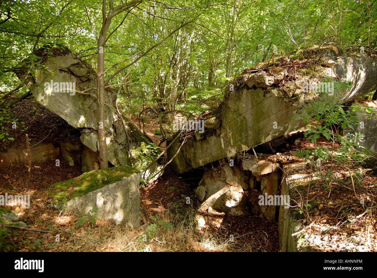 Siegfried Line World War Two era destroyed bunker, Germany Stock Photo ...