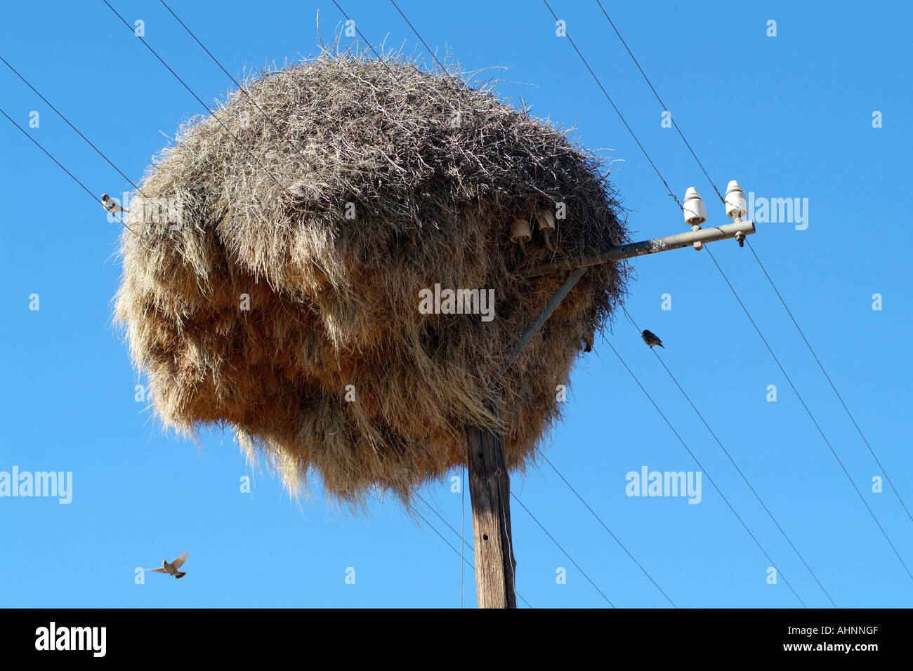 Telephones Poles High Resolution Stock Photography and Images - Alamy