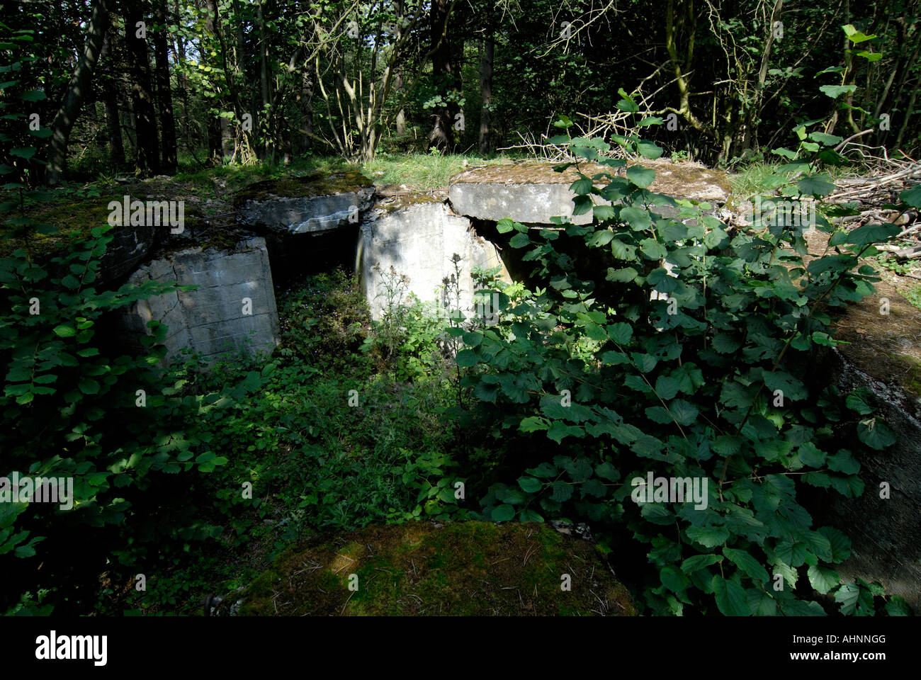 Siegfried Line World War Two era bunker, Germany Stock Photo - Alamy