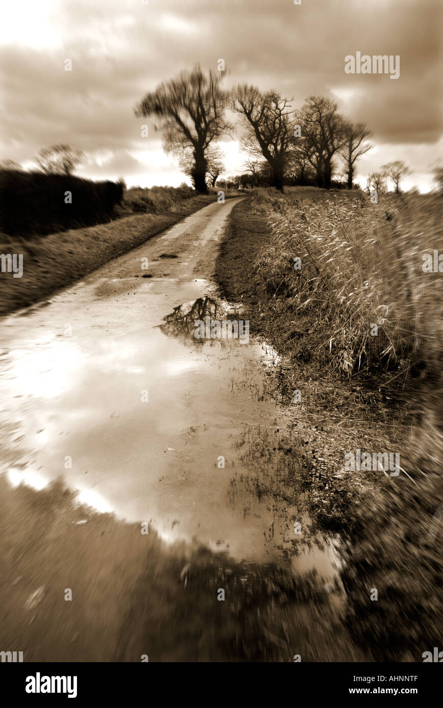 Flooded country road hi-res stock photography and images - Alamy