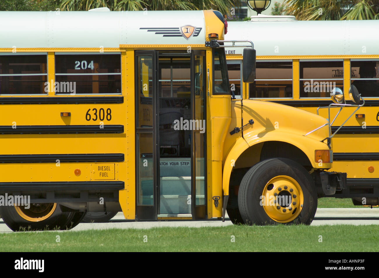 school bus yellow busses transportation schoolbus education Stock Photo ...