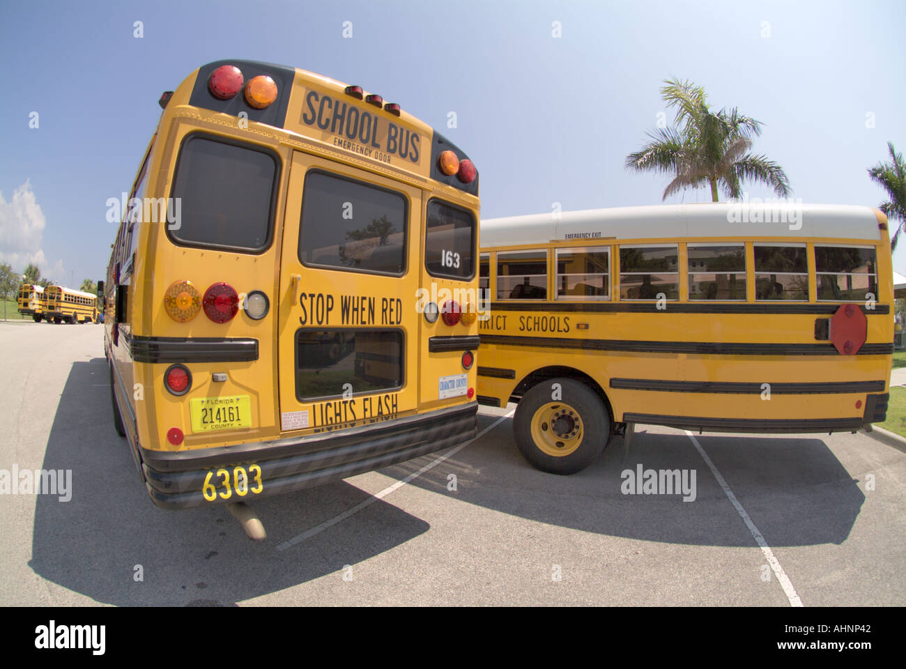 school bus yellow busses transportation schoolbus education Stock Photo ...