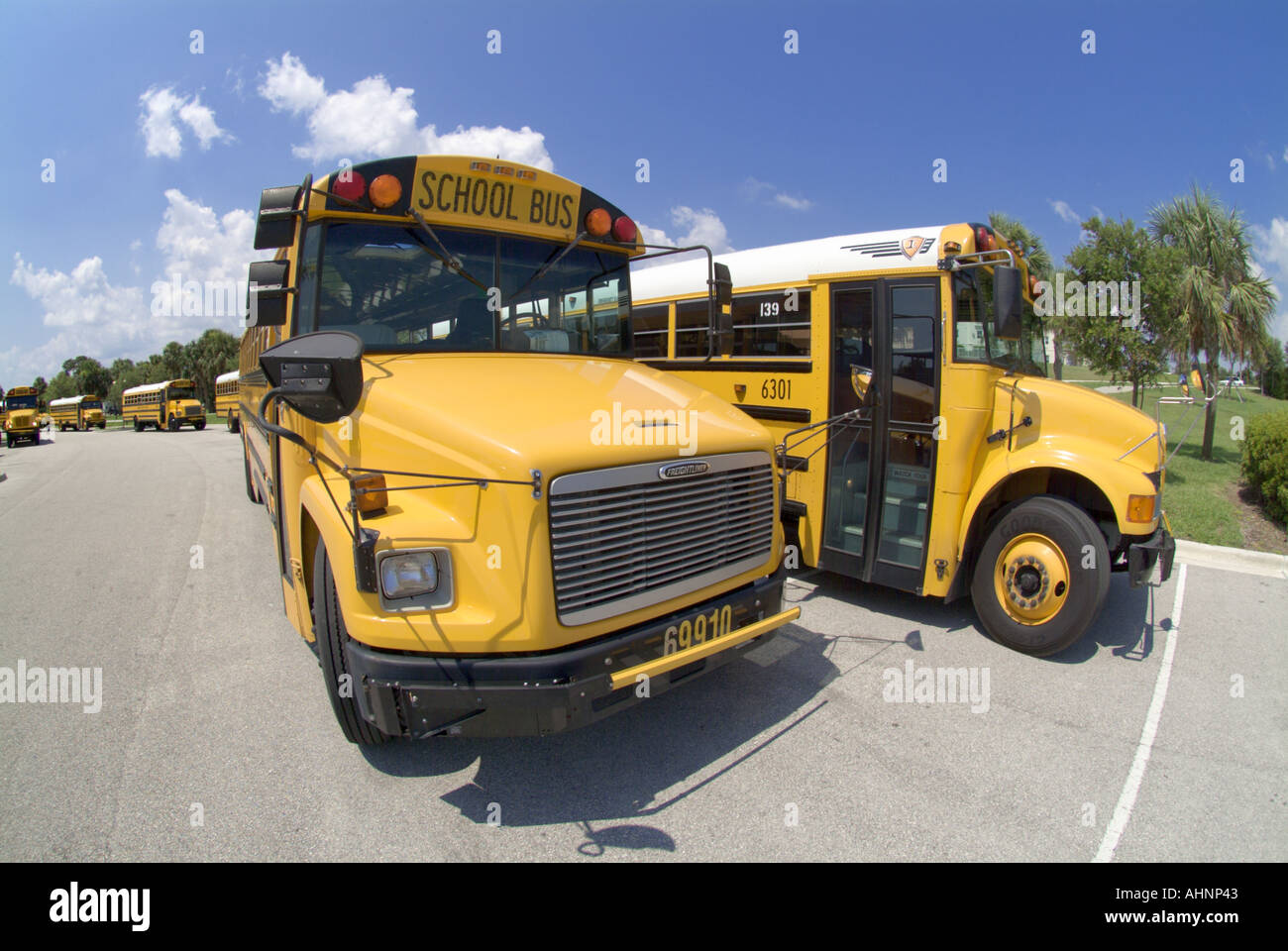 school bus yellow busses transportation schoolbus education Stock Photo ...