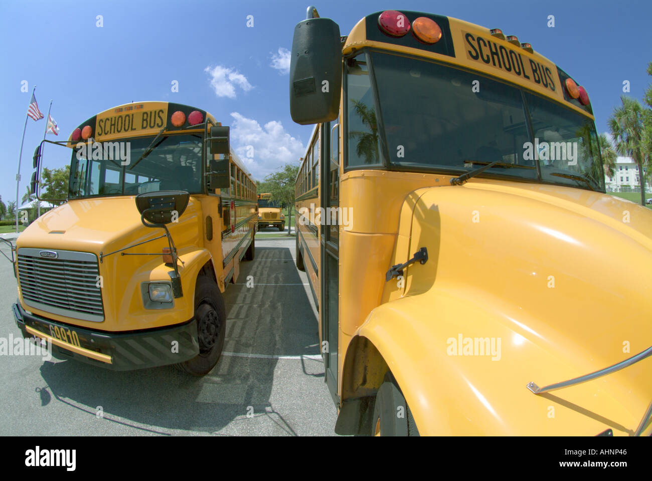 school bus yellow busses transportation schoolbus education Stock Photo ...