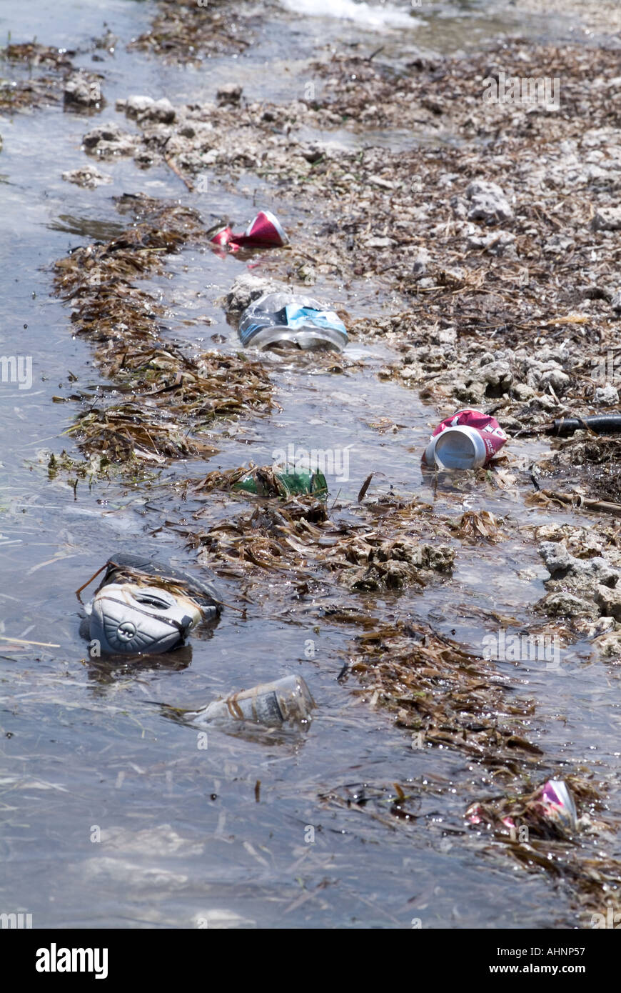 Biscayne Bay Florida National Park garbage trash junk pollution Stock ...