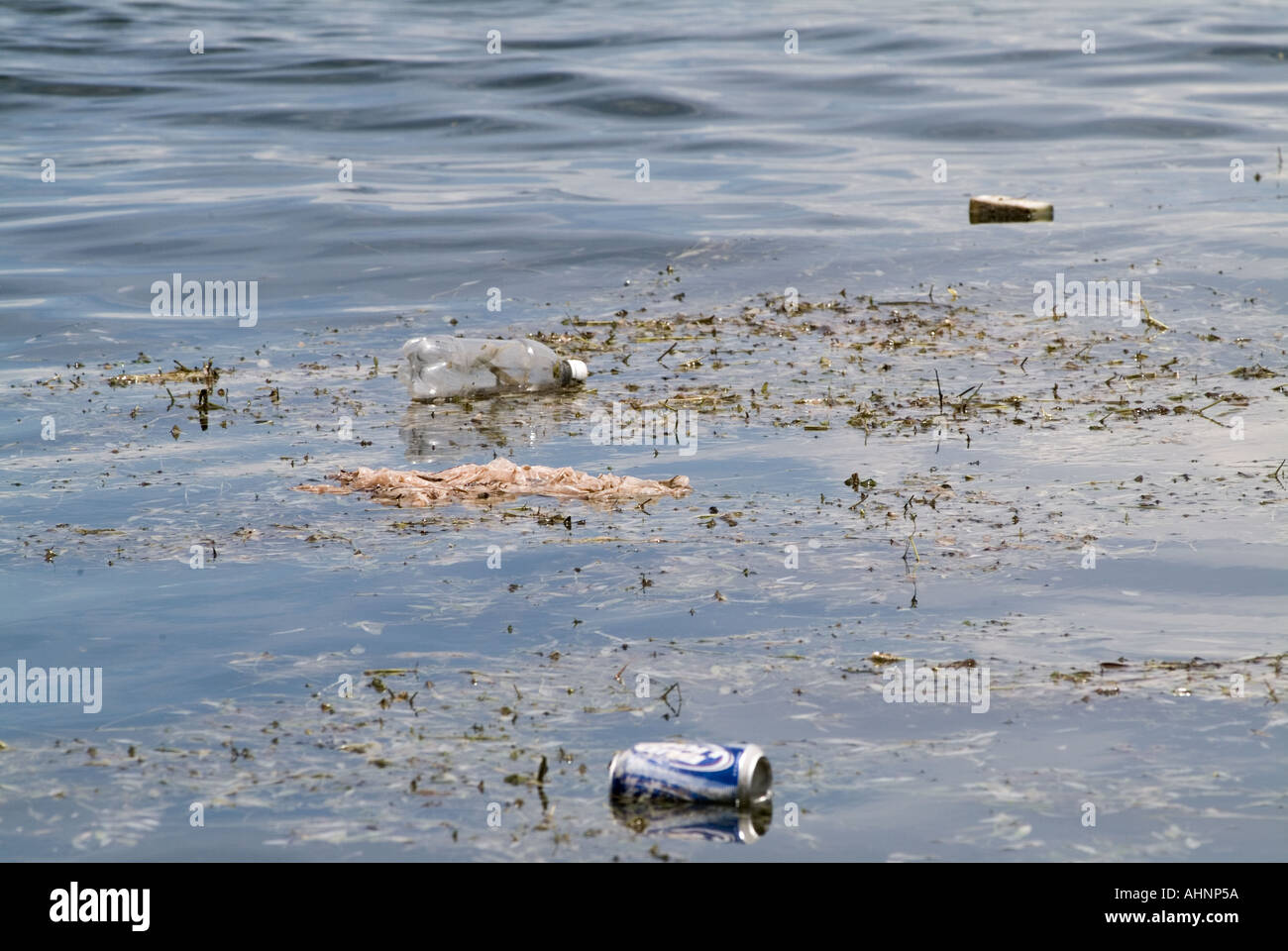 Biscayne Bay Florida National Park garbage trash junk pollution Stock ...