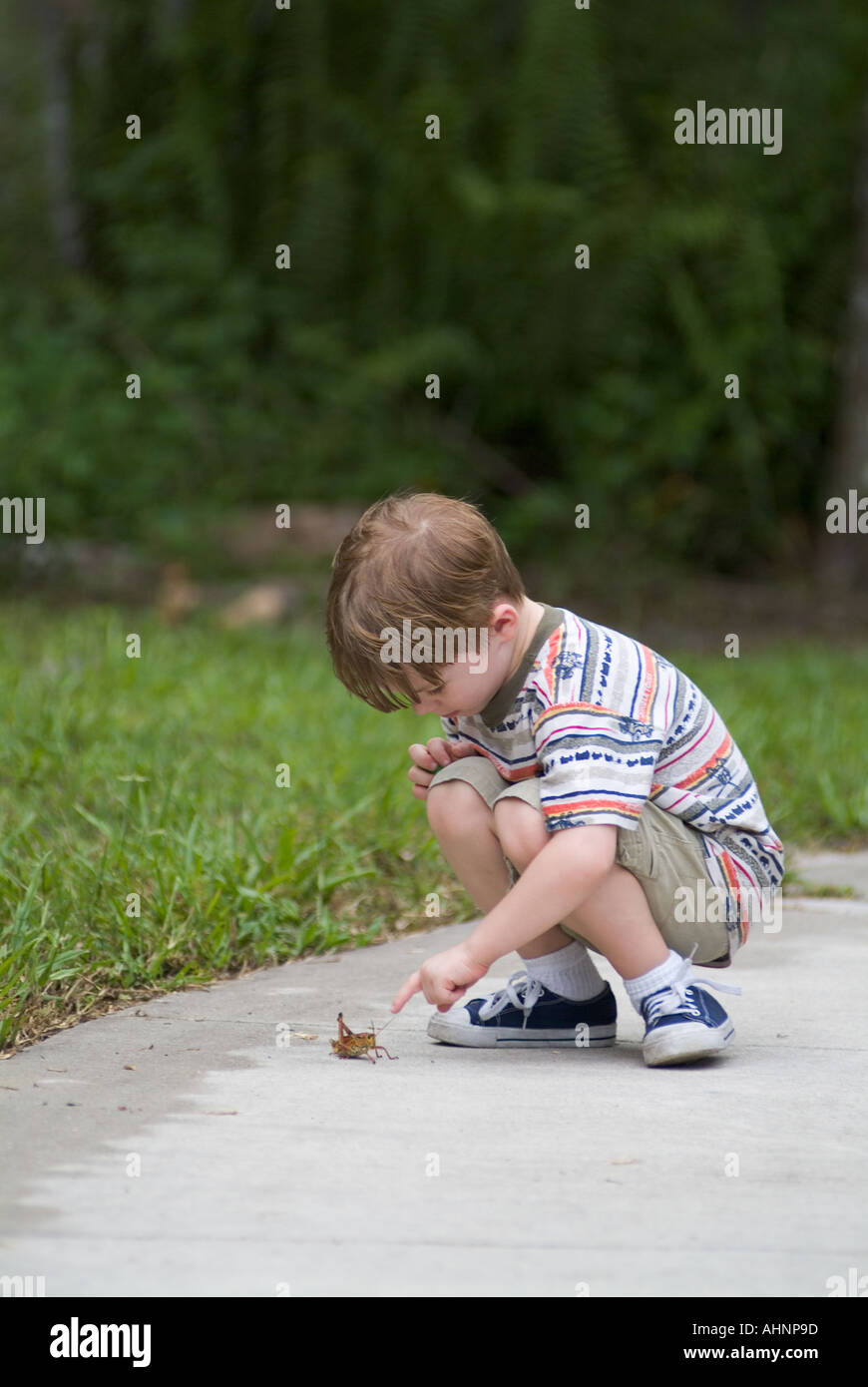 boy with bug insects grass hopper grasshopper curious curiosity Stock ...
