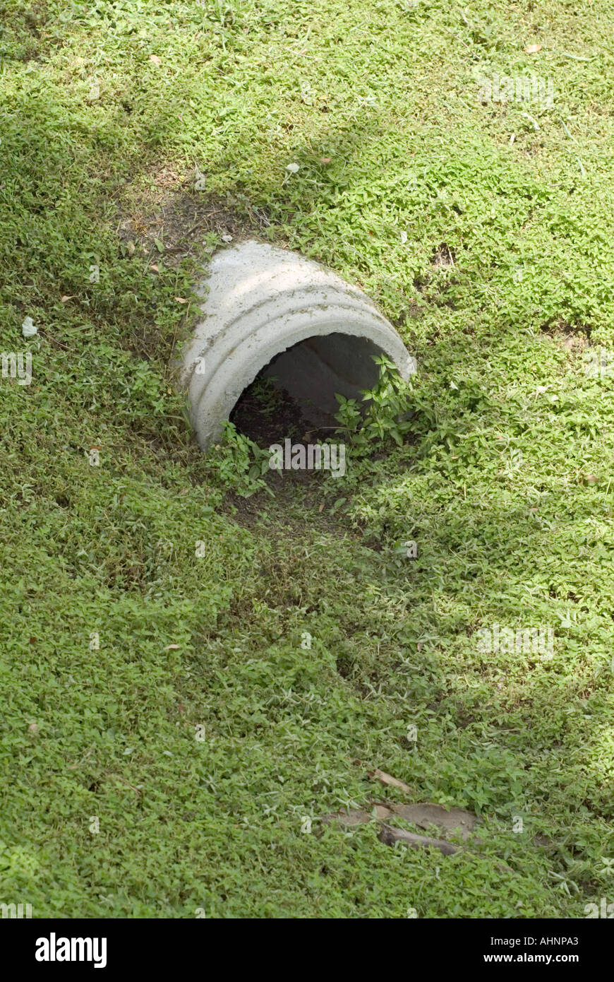 clean culvert concrete pipe drainage ditch opening water runoff Stock ...