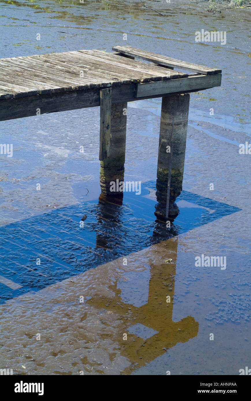 old dock over muddy water dried out rotten aged wood bad shape pier ...