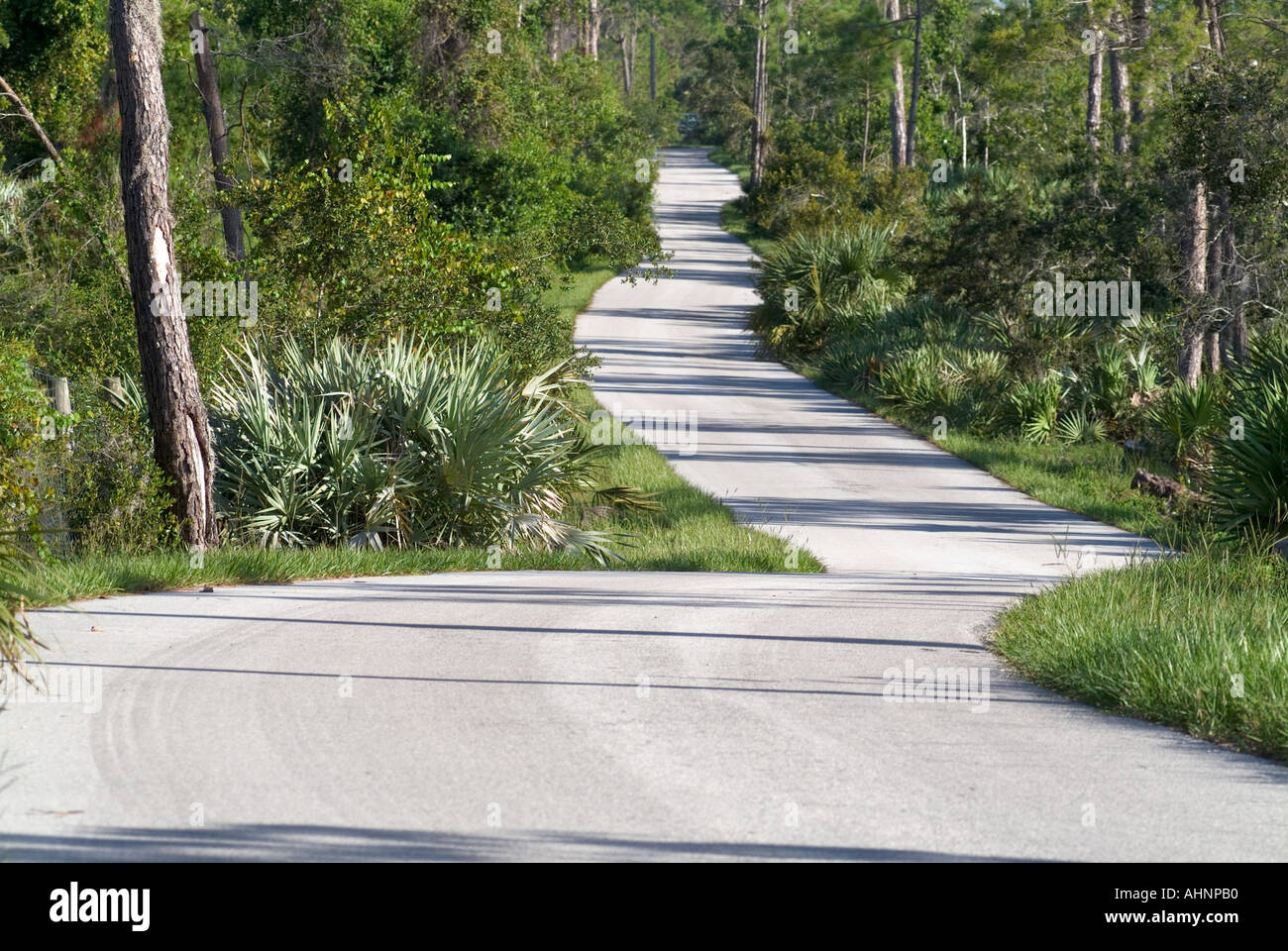 winding single lane road path roadway street drive Florida FL scenic ...