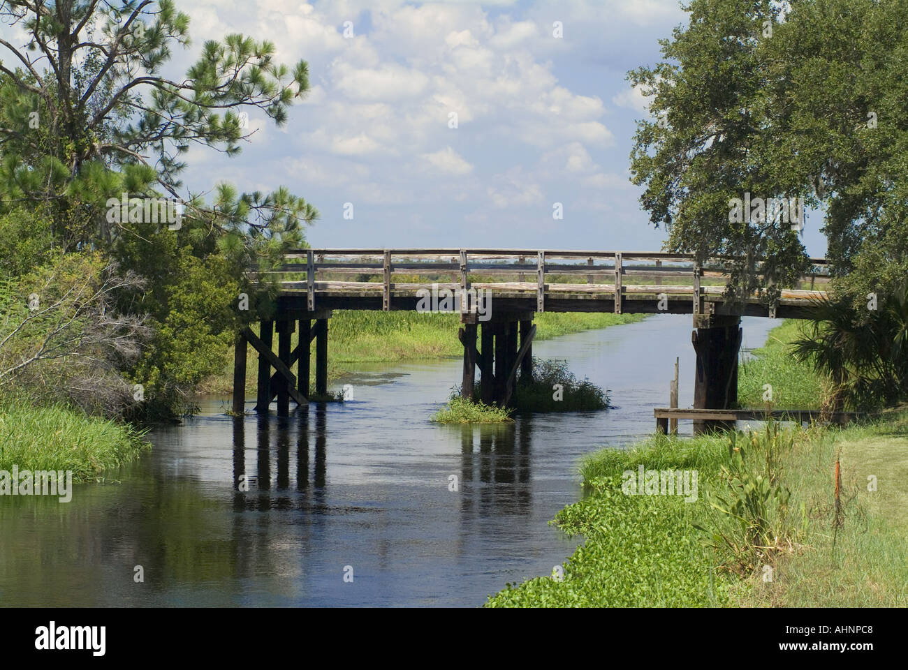 Florida Lake Kissimmee State Park Rosalie Drain waterway between Lake ...