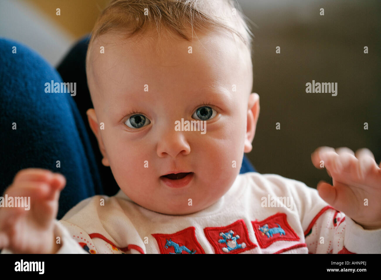 8 months old hi-res stock photography and images - Alamy