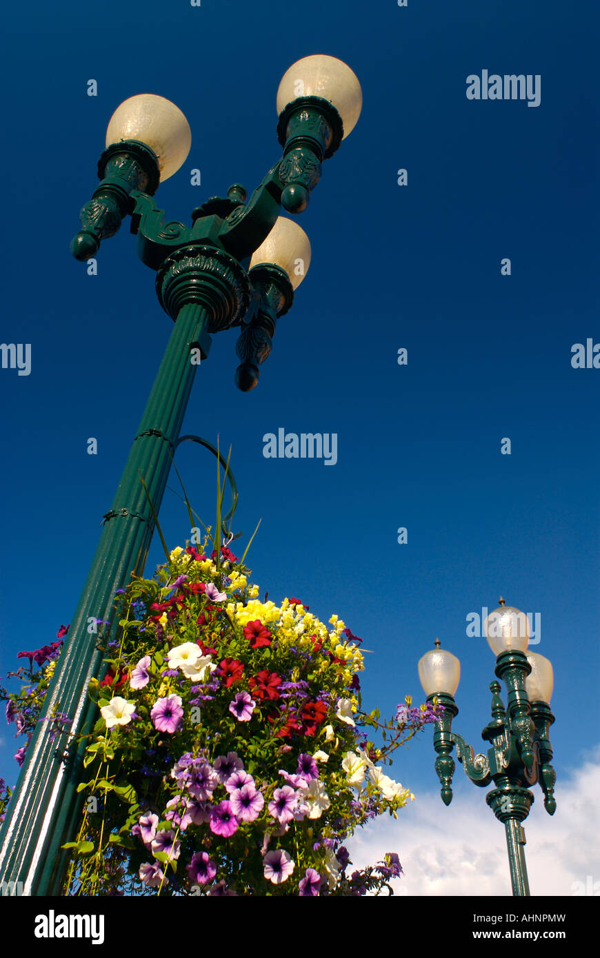 Antique lamp post with hanging basket of flowers against blue summer ...