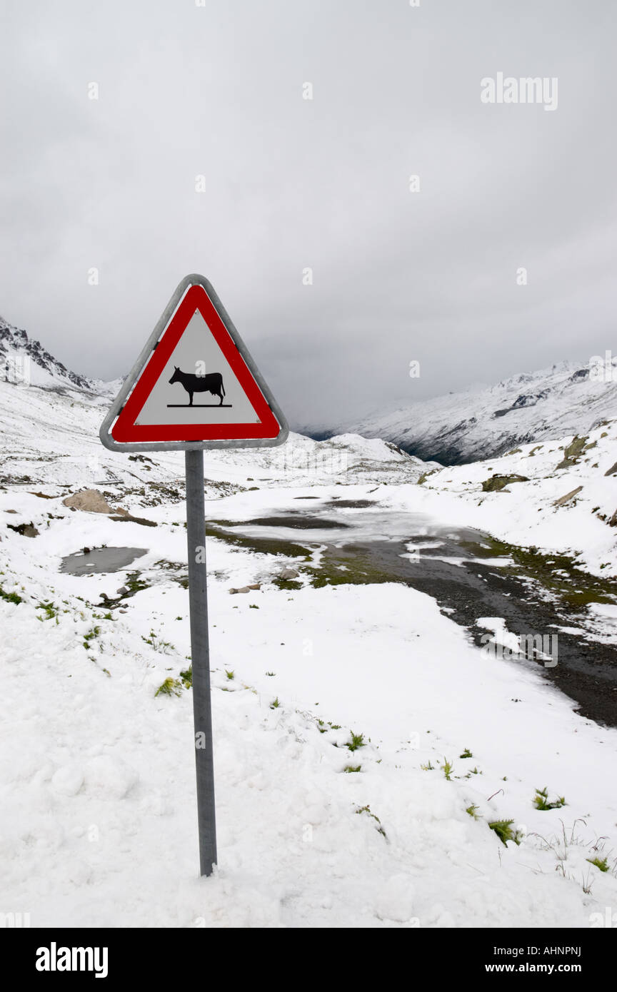 Road sign at Fluelapass in Swiss Alps Stock Photo - Alamy