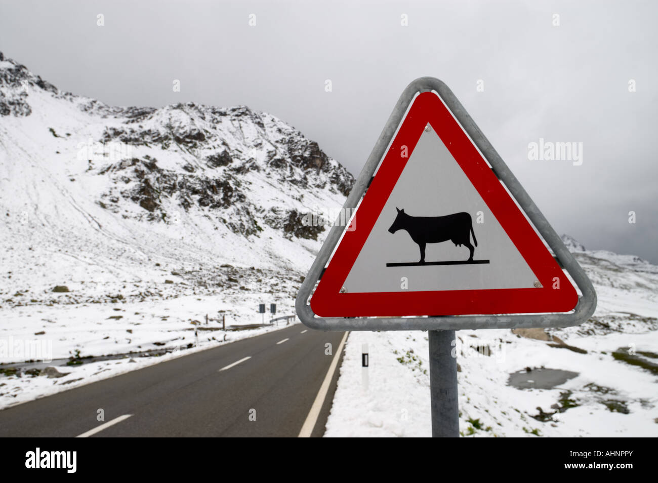 Road sign at Fluelapass in Swiss Alps Stock Photo - Alamy