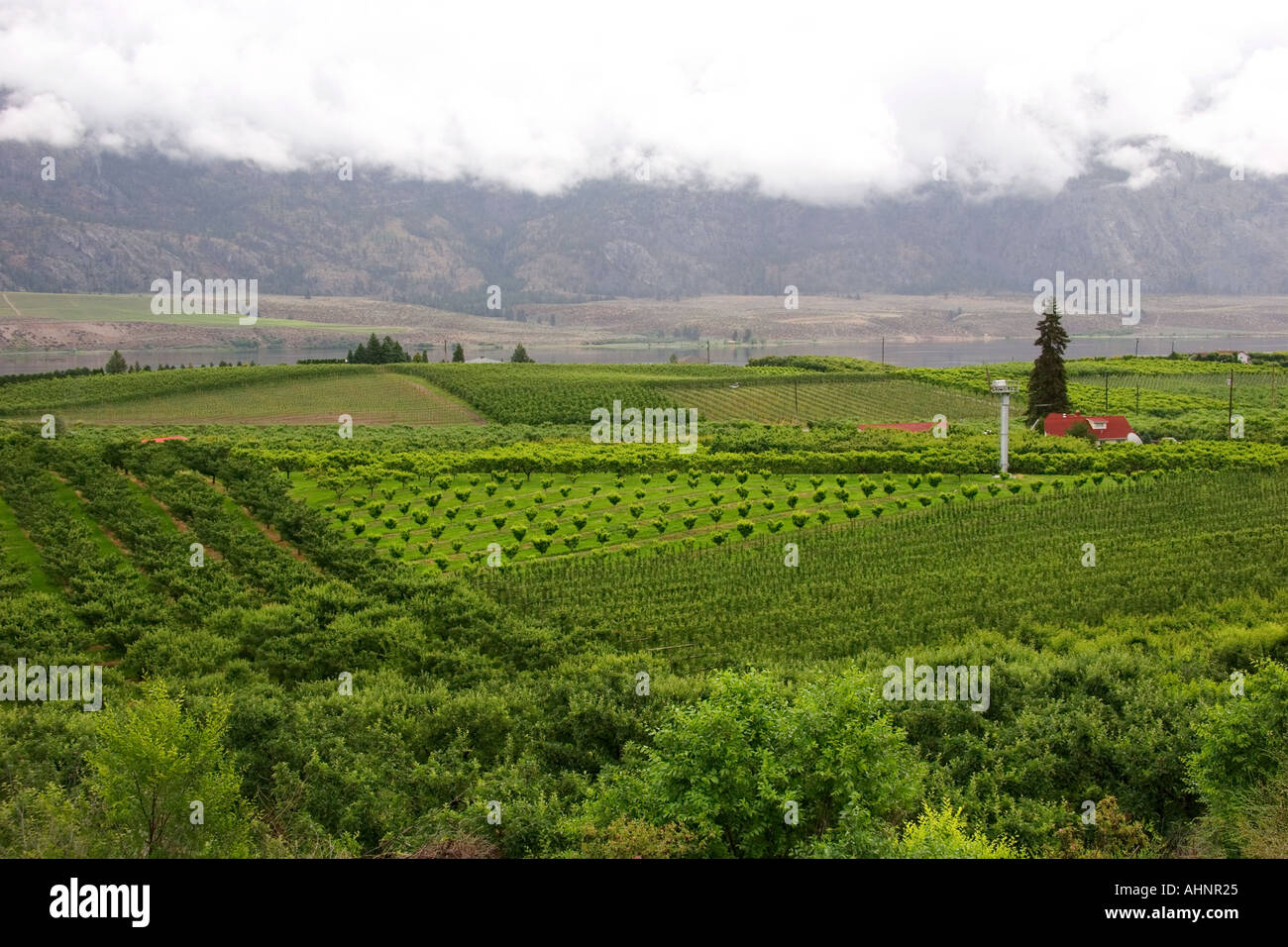 South okanagan valley hi-res stock photography and images - Alamy