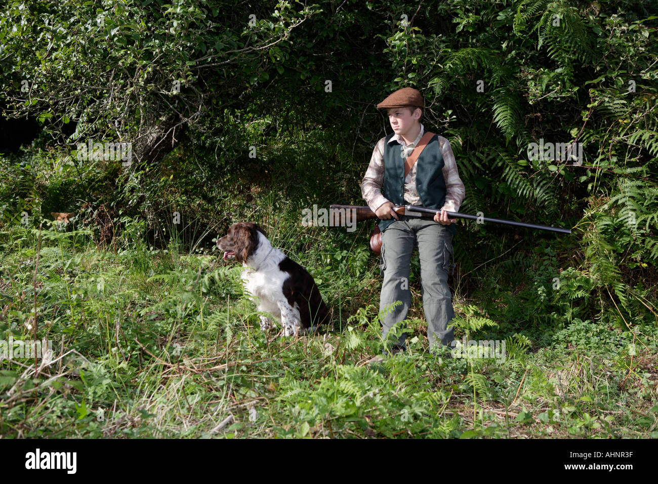 Boy and Fox Stock Photo - Alamy