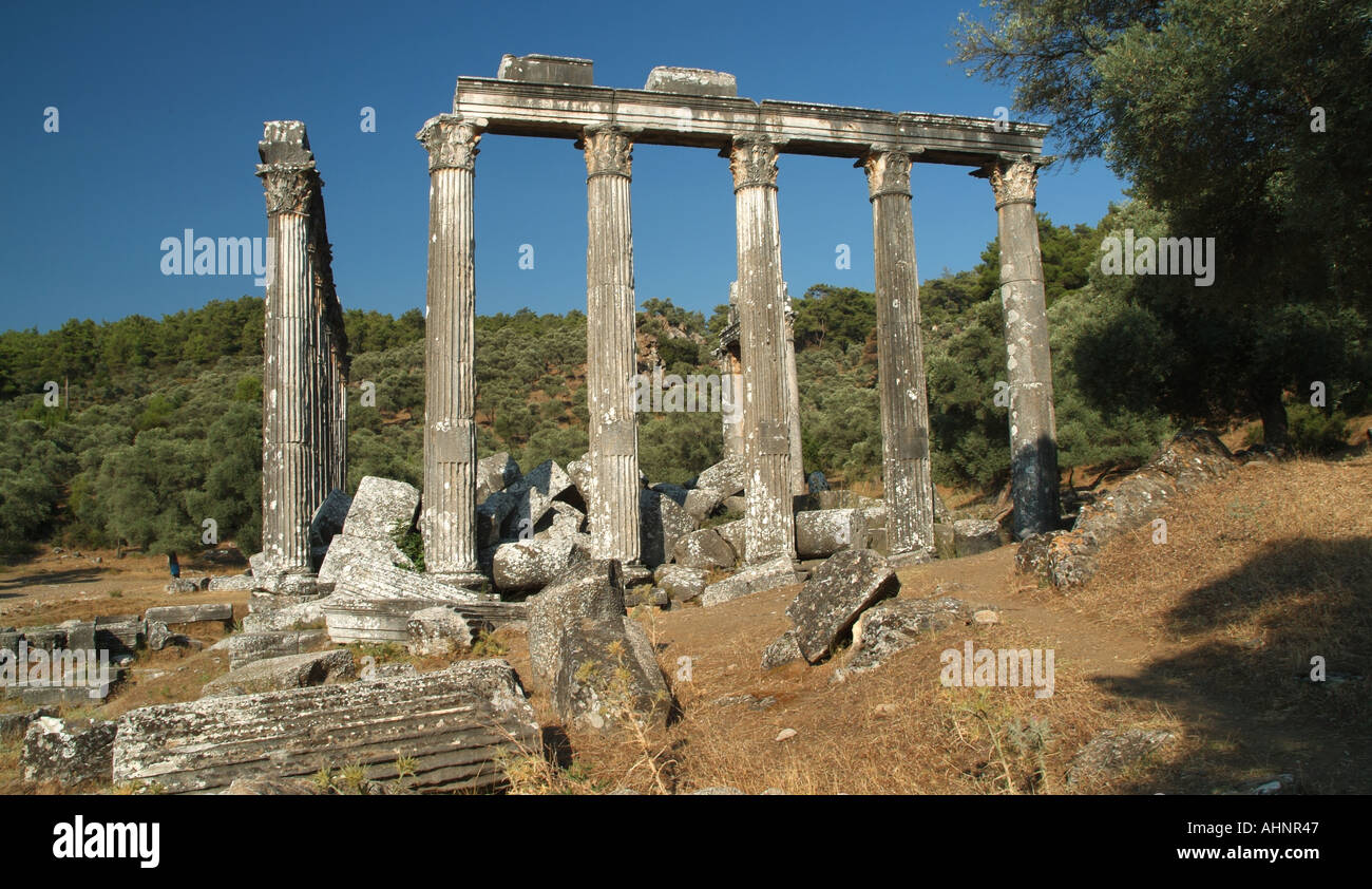 Temple of Zeus ancient greek Euromos Turkey Stock Photo - Alamy