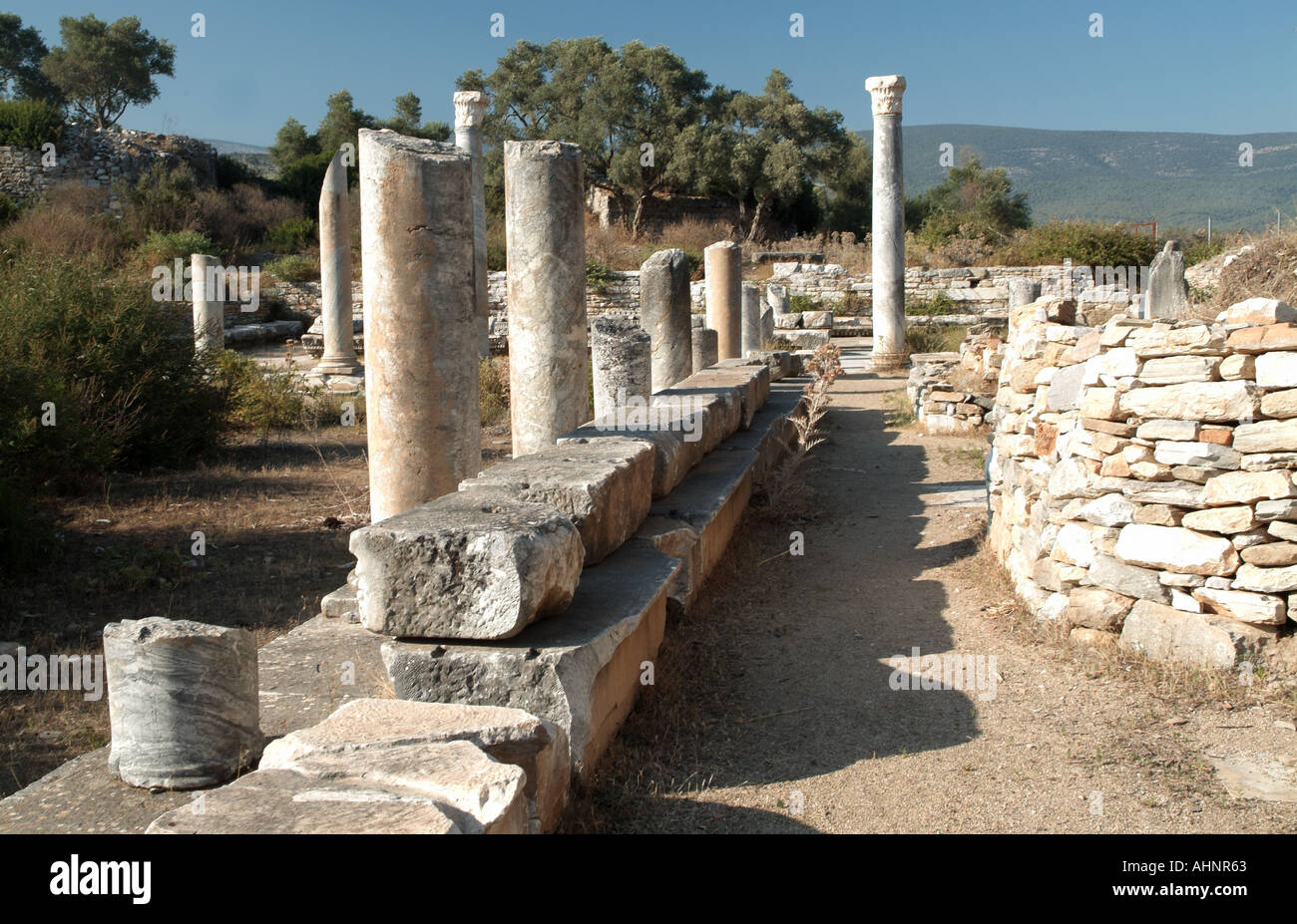 Agora ancient greek Iasos Turkey Caria Karia Asia Minor Stock Photo - Alamy