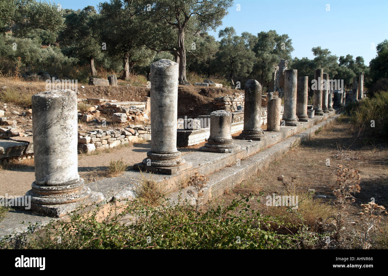 Agora ancient greek Iasos Turkey Caria Karia Asia Minor Stock Photo - Alamy