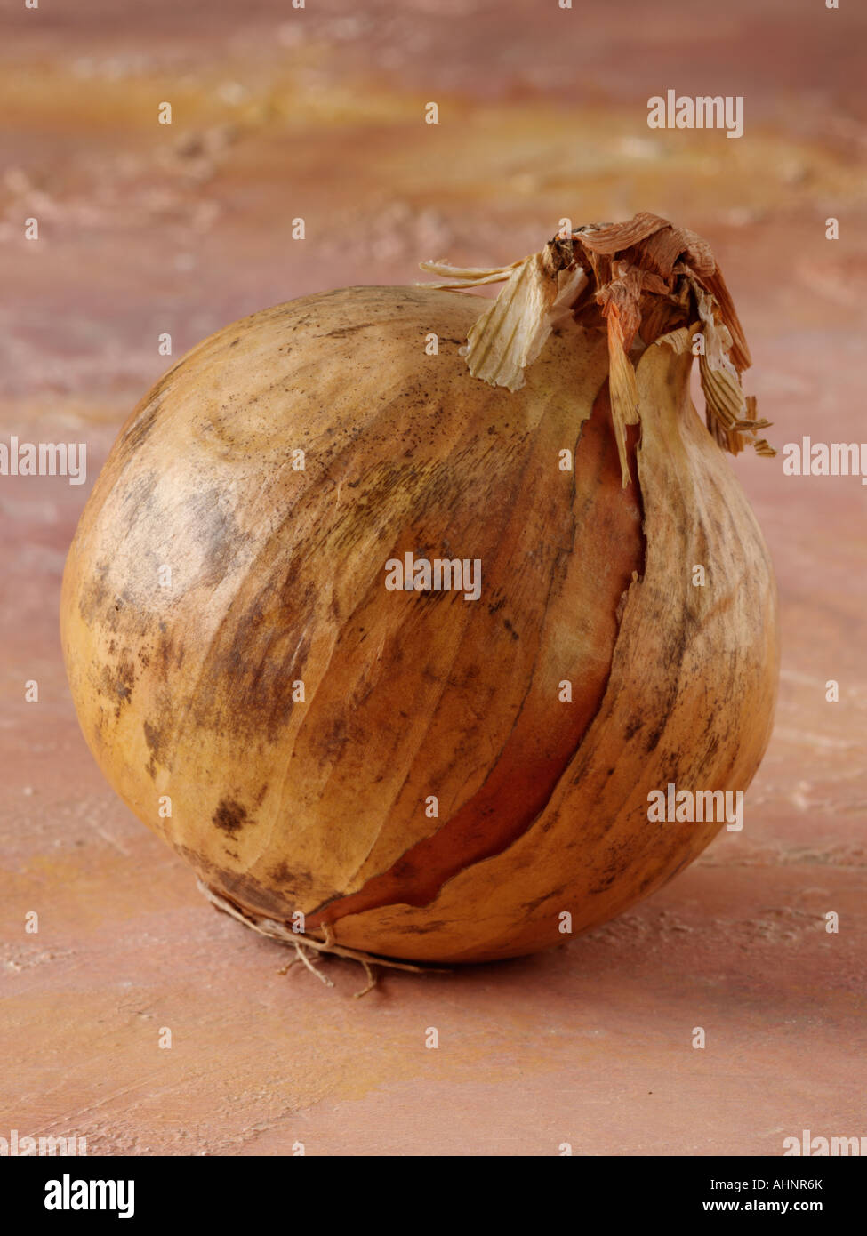 A single brown onion editorial food Stock Photo - Alamy