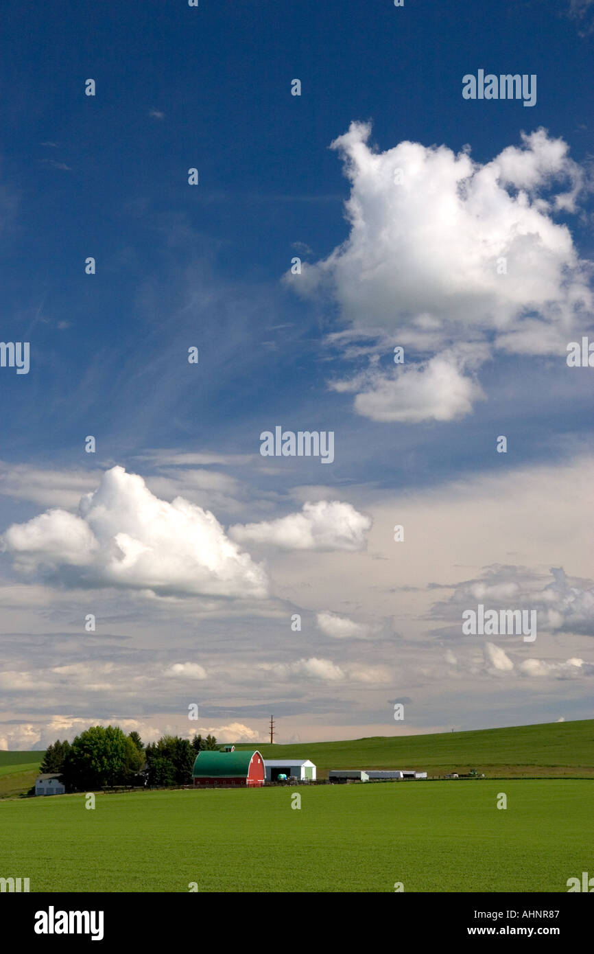 Eastern washington pea farm with rolling hills and clouds Stock Photo ...