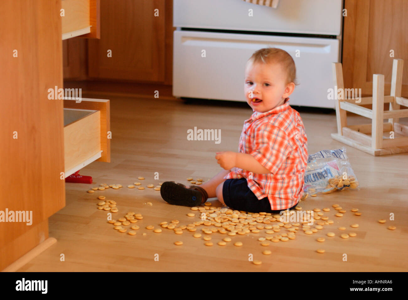 One year old boy getting into mischief Stock Photo - Alamy
