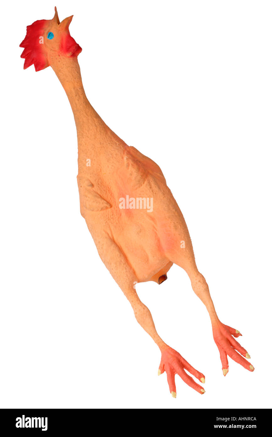 Rubber chicken hi-res stock photography and images - Alamy