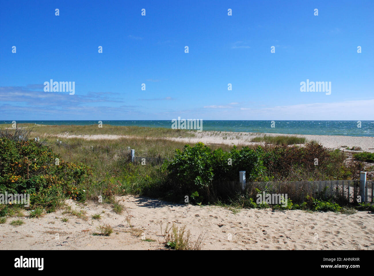 Beach Nantucket Island Massachusetts United States Stock Photo - Alamy