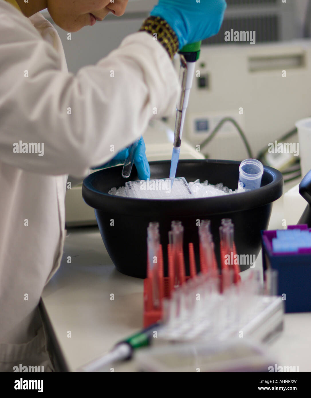 Research scientist at work in laboratory Stock Photo - Alamy