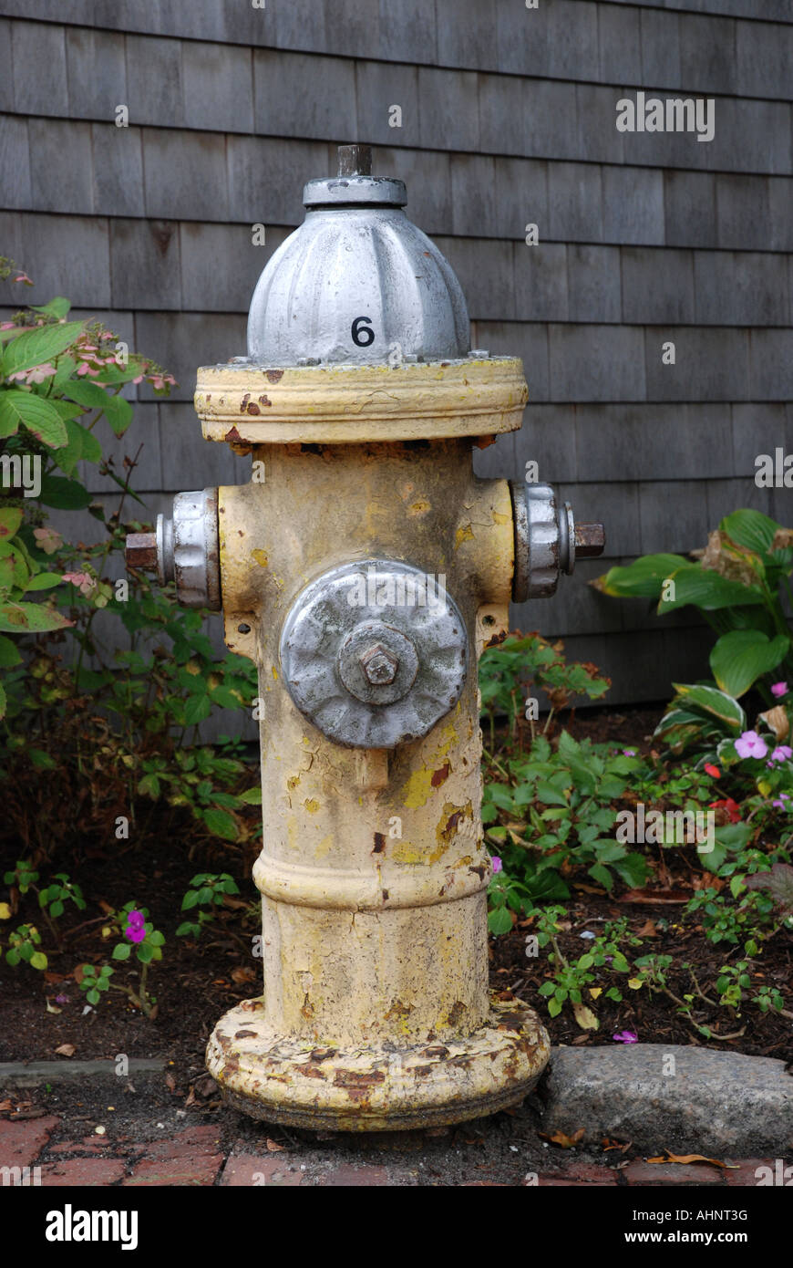 Fire Hydrant Nantucket Island Massachusetts United States Stock Photo ...