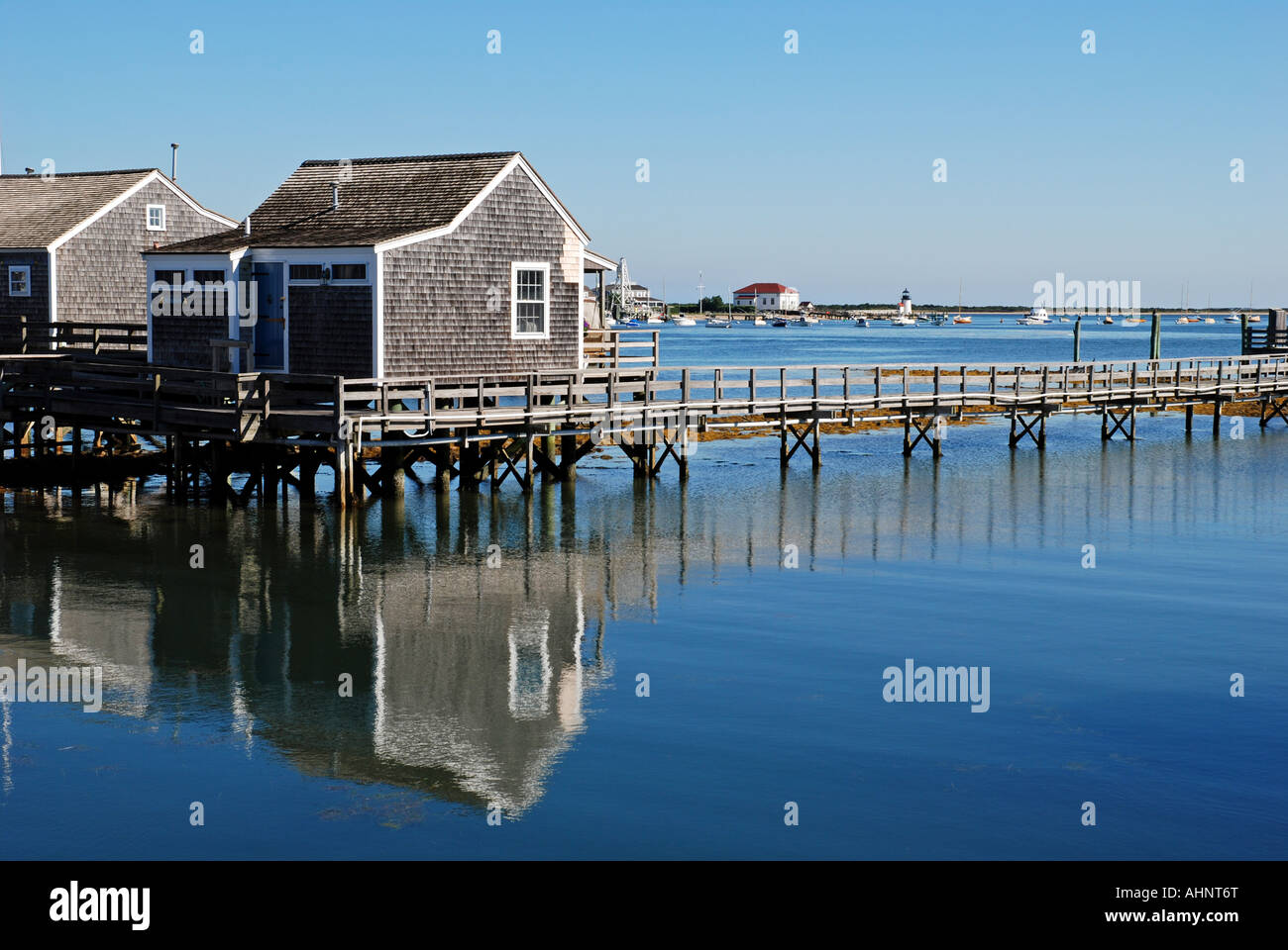 Typical houses on the ocean Nantucket island Massachusetts United ...