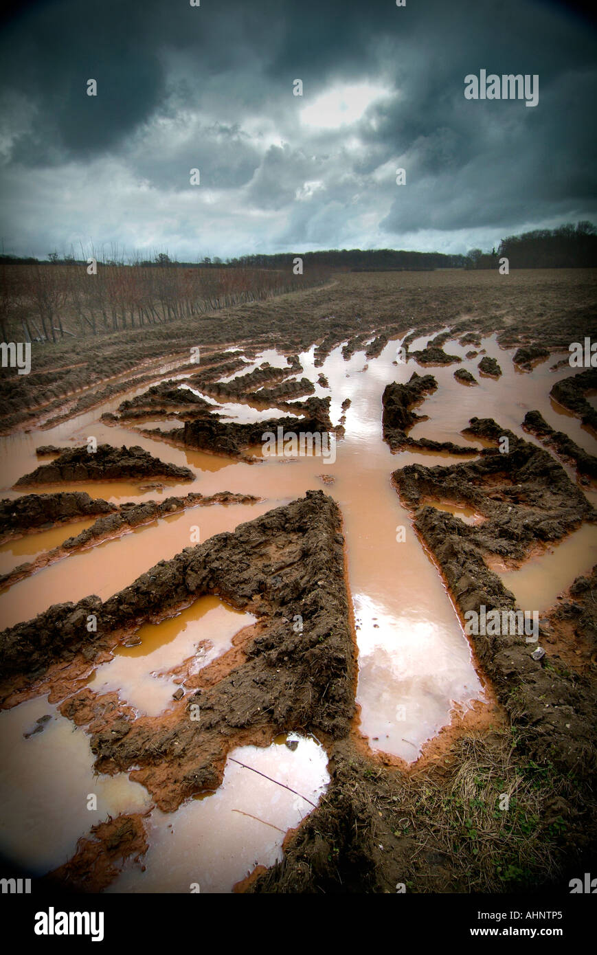 water logged field Stock Photo - Alamy