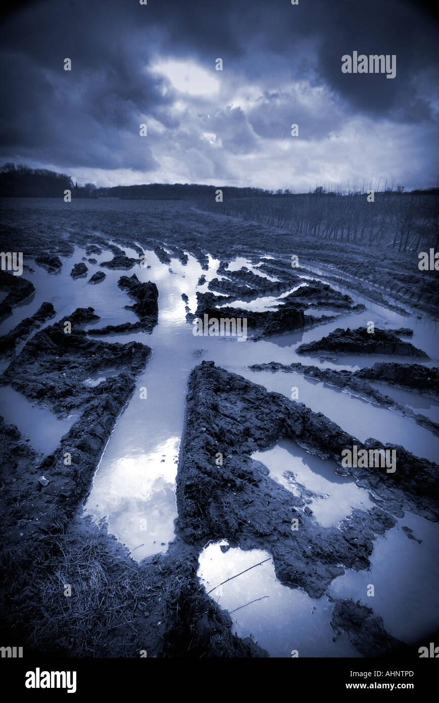 water logged field Stock Photo - Alamy