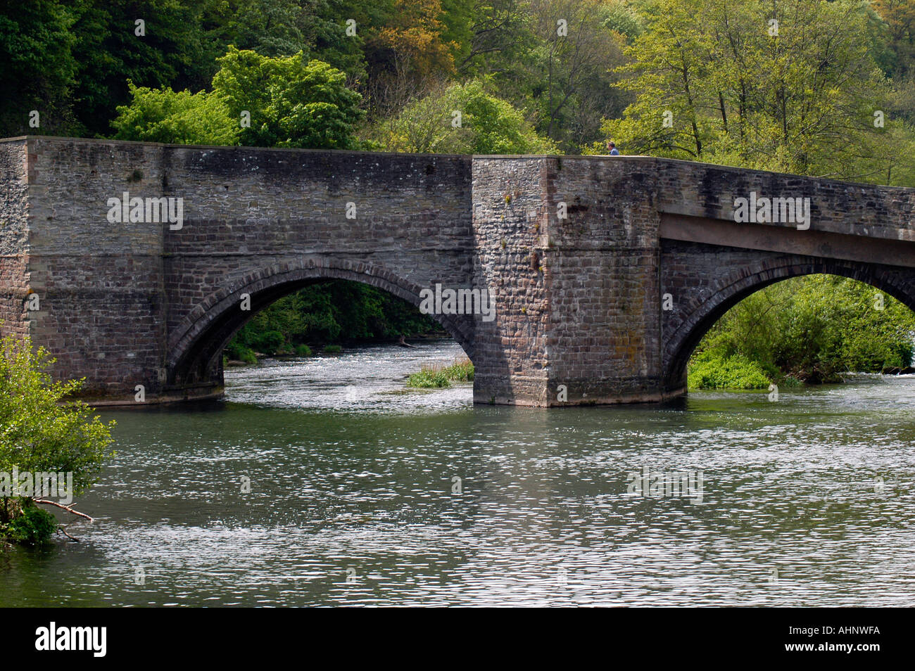 The River Teme at Ludlow Shropshire Stock Photo - Alamy