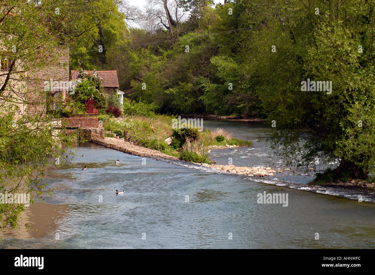 The River Teme at Ludlow Shropshire Stock Photo - Alamy
