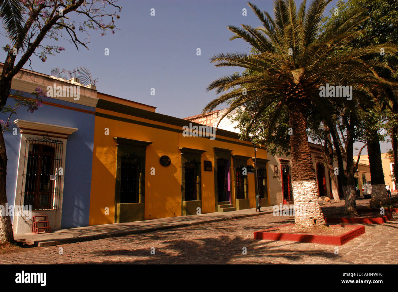 City of Oaxaca, Historical Old town center Pedestrian street Stock ...