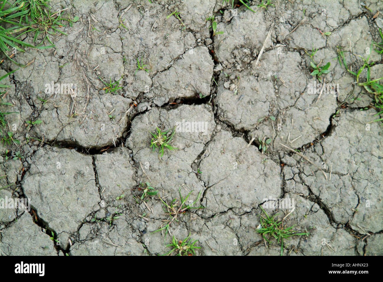 cracked dry earth Stock Photo - Alamy